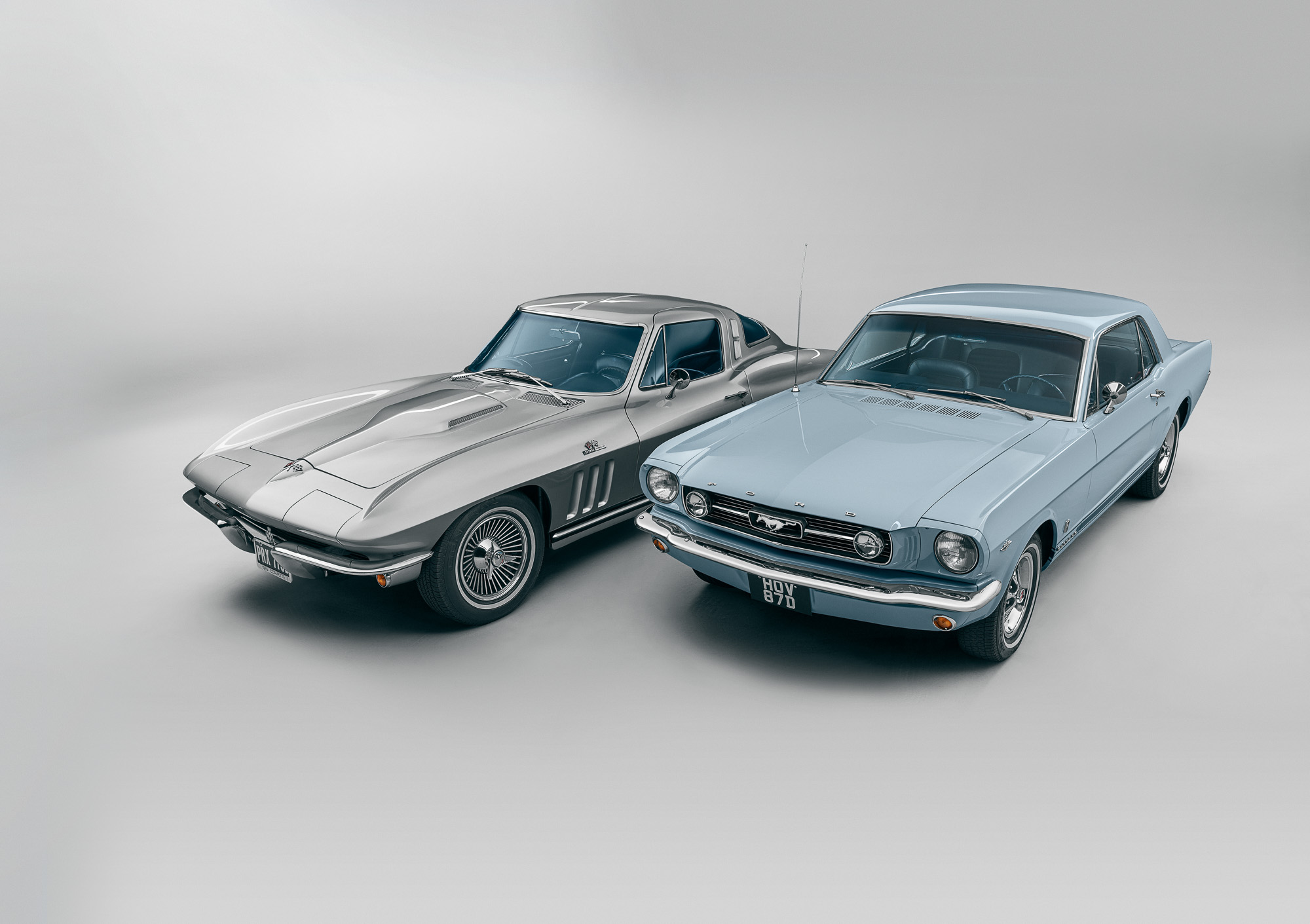 STING ODER STANG? | Octane-Magazin